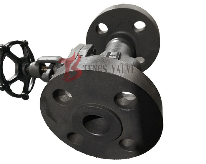 API598 Test Carbon Steel A105 N Globe Valve DN40 for Your Requirements